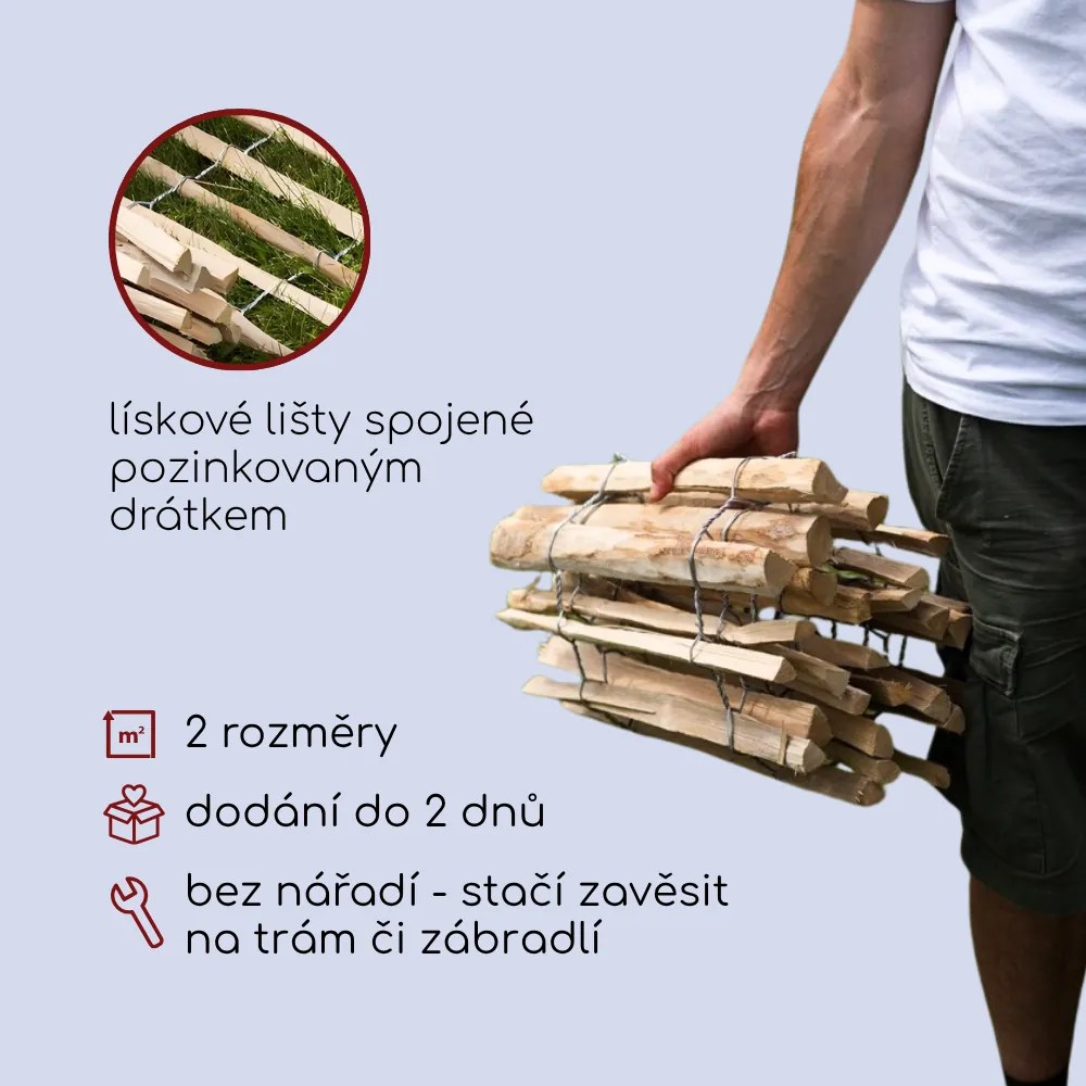 Vingo Závěsná opora pro popínavé rostliny - treláž/žebřík, 100 x 200 cm