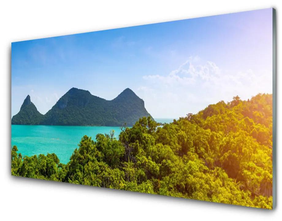 Plexisklo-obraz Hory Moře Stromy Krajina 120x60 cm