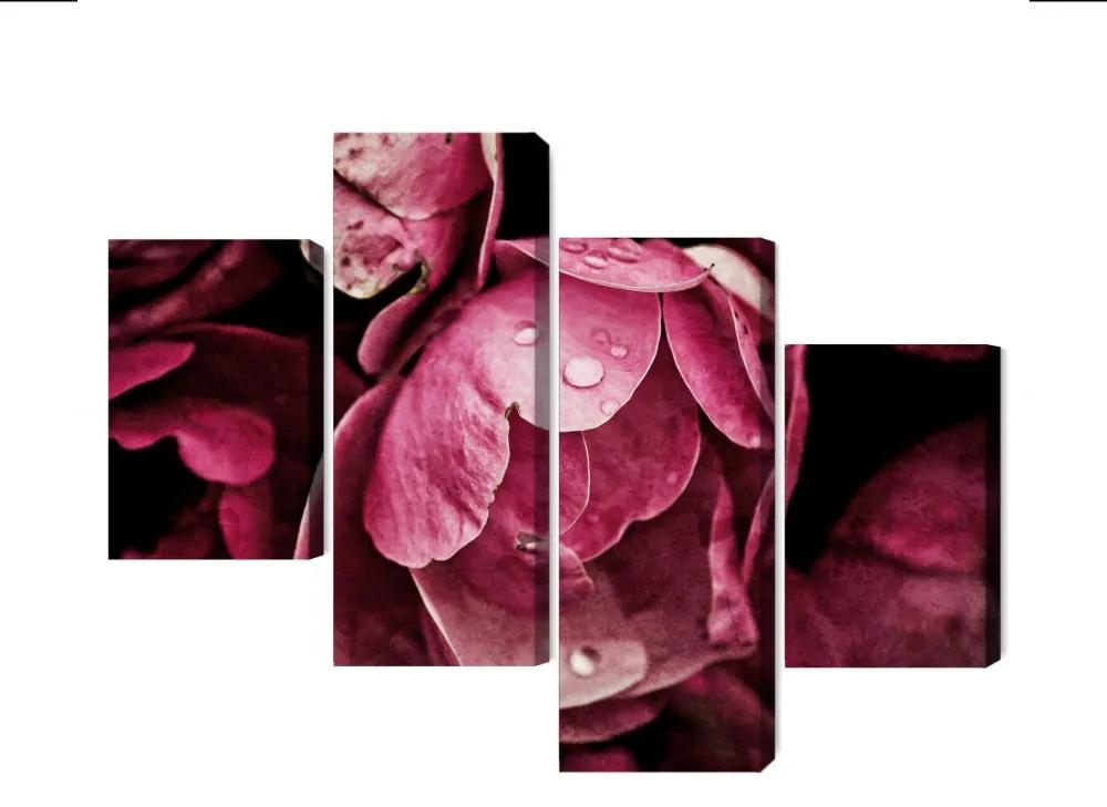 Vícedílný obraz Pivoňka Květiny Zblízka 3D Nedostatek Nedostatek Přírodní plátno 160x100