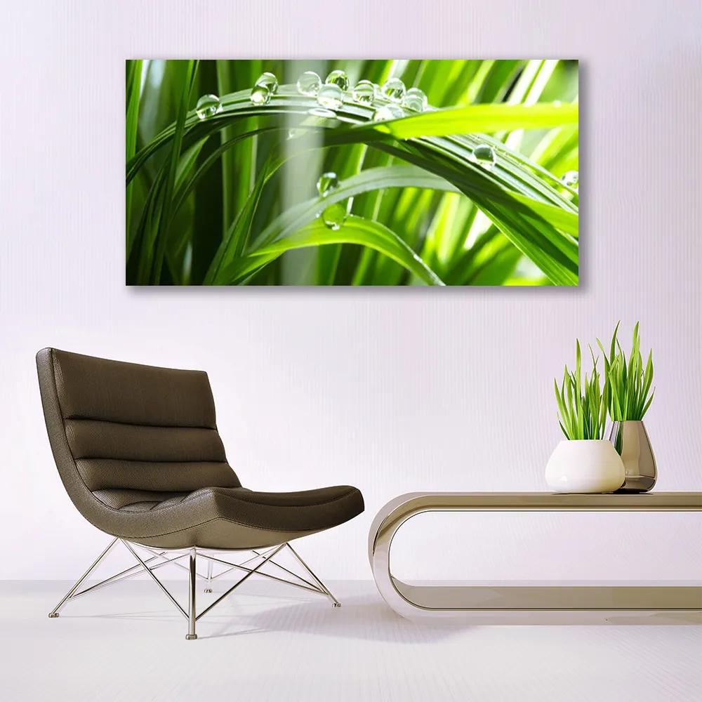 akrylový obraz Tráva Rosa Kapky Rostlina 120x60 cm