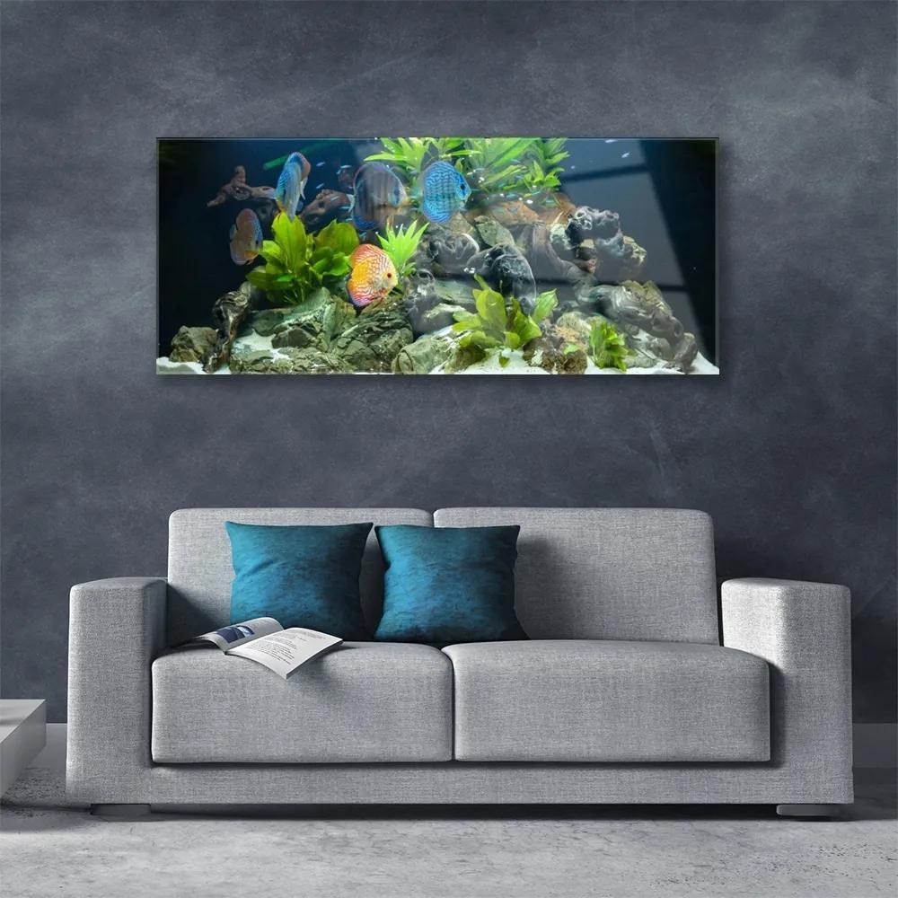 akrylový obraz Ryba Kameny Listy Příroda 125x50 cm