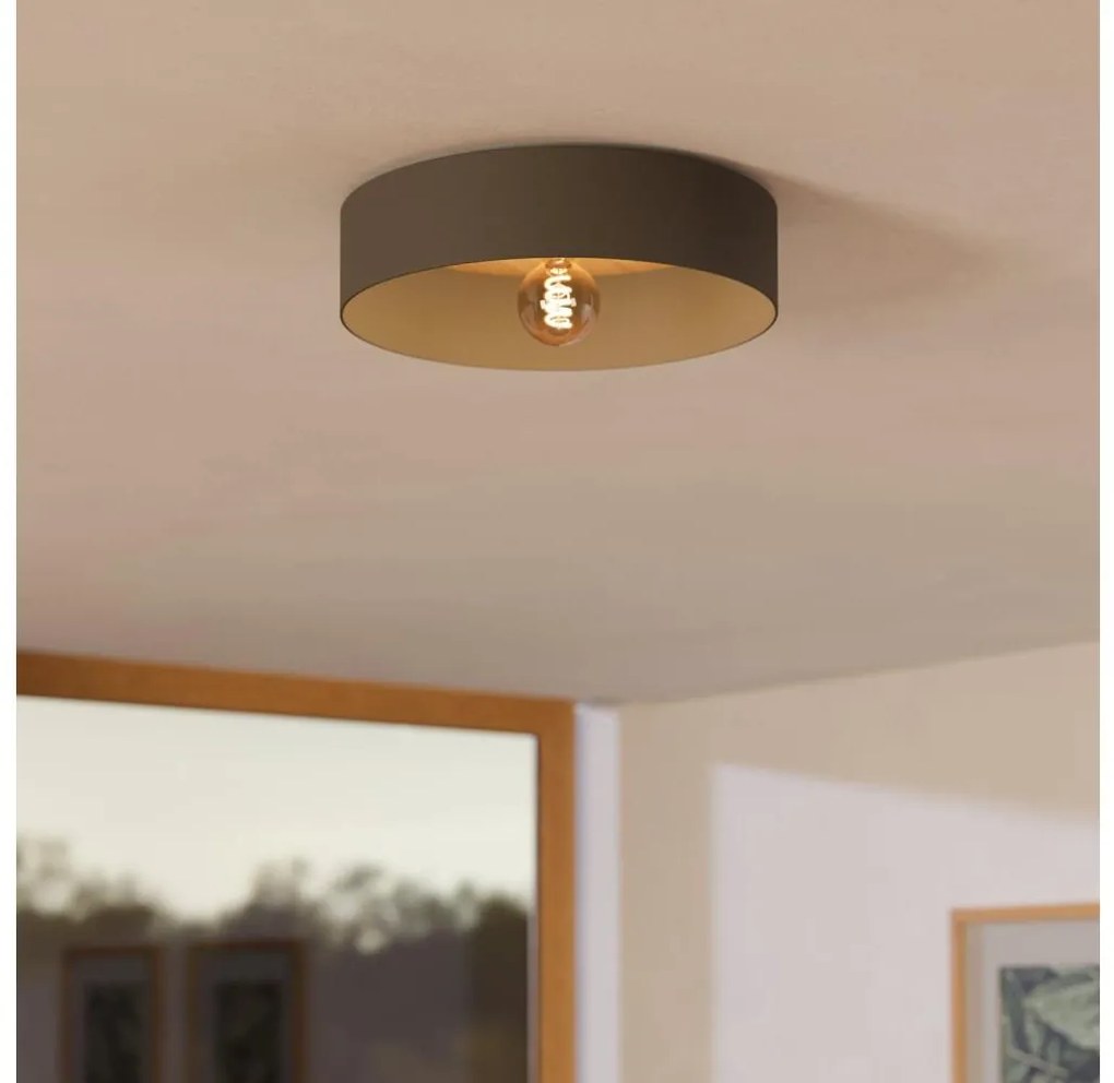 Eglo 901745 - Stropní svítidlo DUAIA 1xE27/40W/230V šedá