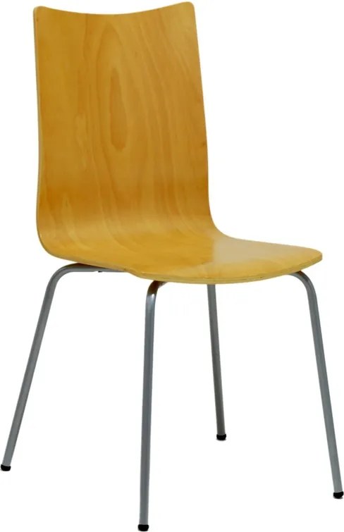 Jídelní židle RITA buk/hliník