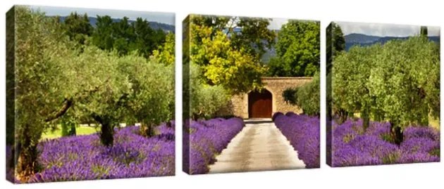 Tištěný obraz Cesta v Provence 90x30cm 1993A_3A