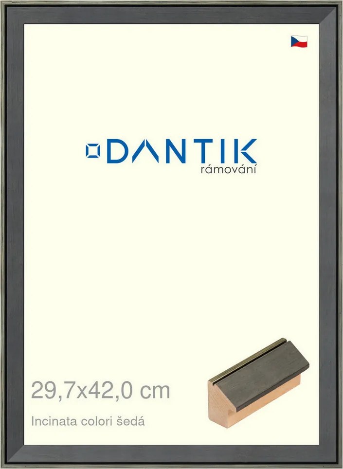 DANTIK rámeček 29,7x42 | INCLINATA colori šedá (Plexi Čiré)