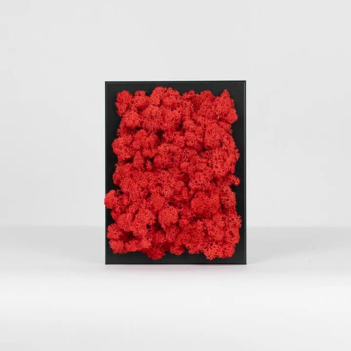 Mechový obraz | 18x13 cm | červený - černý rám