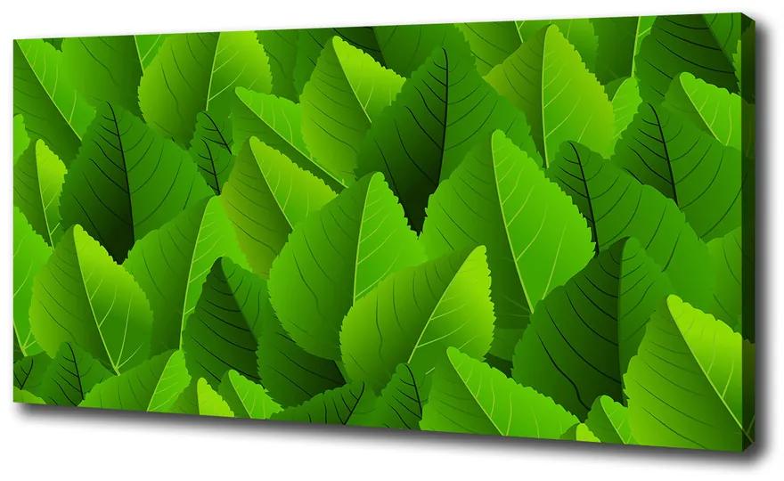 Wallmuralia Foto obraz na plátně Zelené listí 100x50 cm