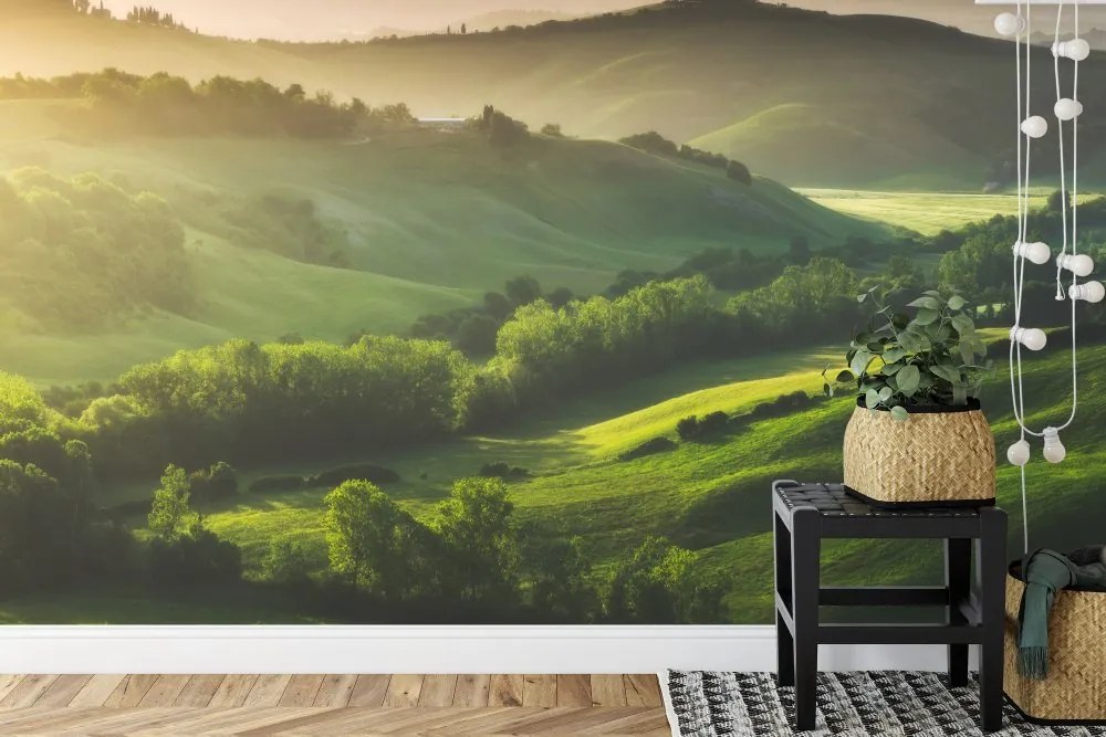 Fototapeta 3D Pole Na Šířku Hladký vinyl 104x70.5