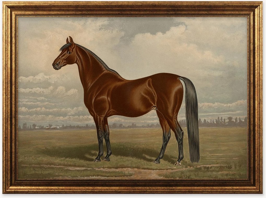 Zarámovaný digitální tisk Equine