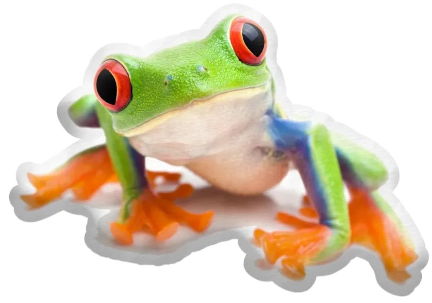 Sablio 3D polštář ve tvaru Žába