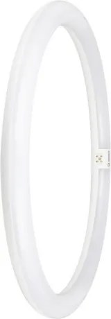 LED kruhová zářivková trubice T9 G10q LEDVANCE SubstiTUBE 24W (40W) neutrální bílá (4000K)