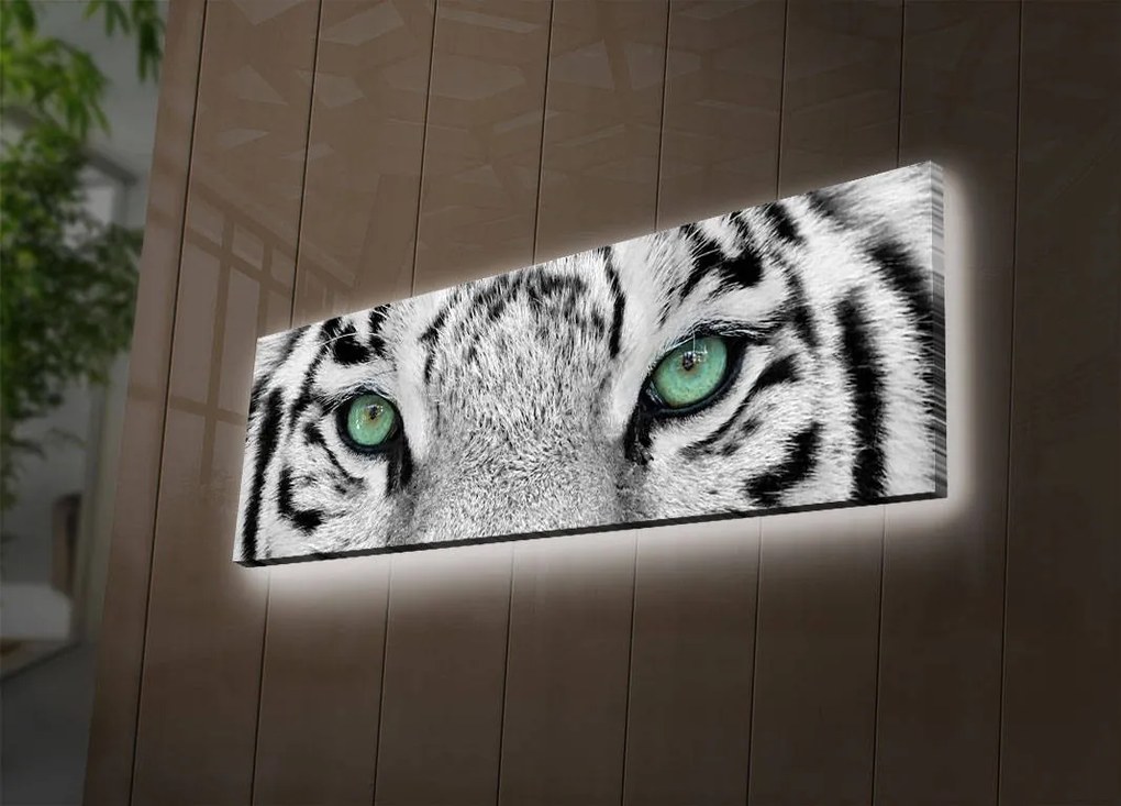 Obraz s led osvětlením White Tiger 90x30 cm