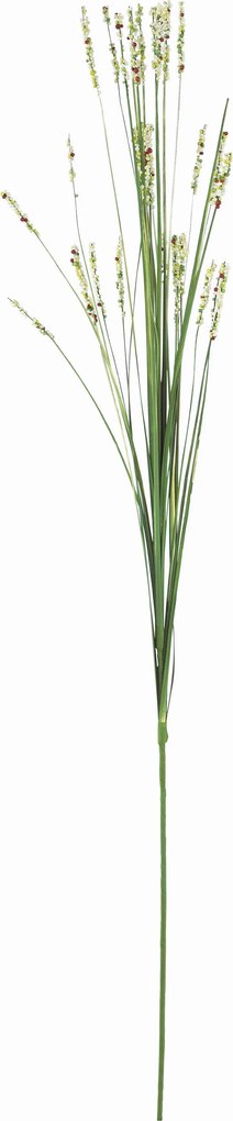 XXXLutz DEKORAČNÍ TRÁVA 70 cm - Dekorační tráva - 0041770134
