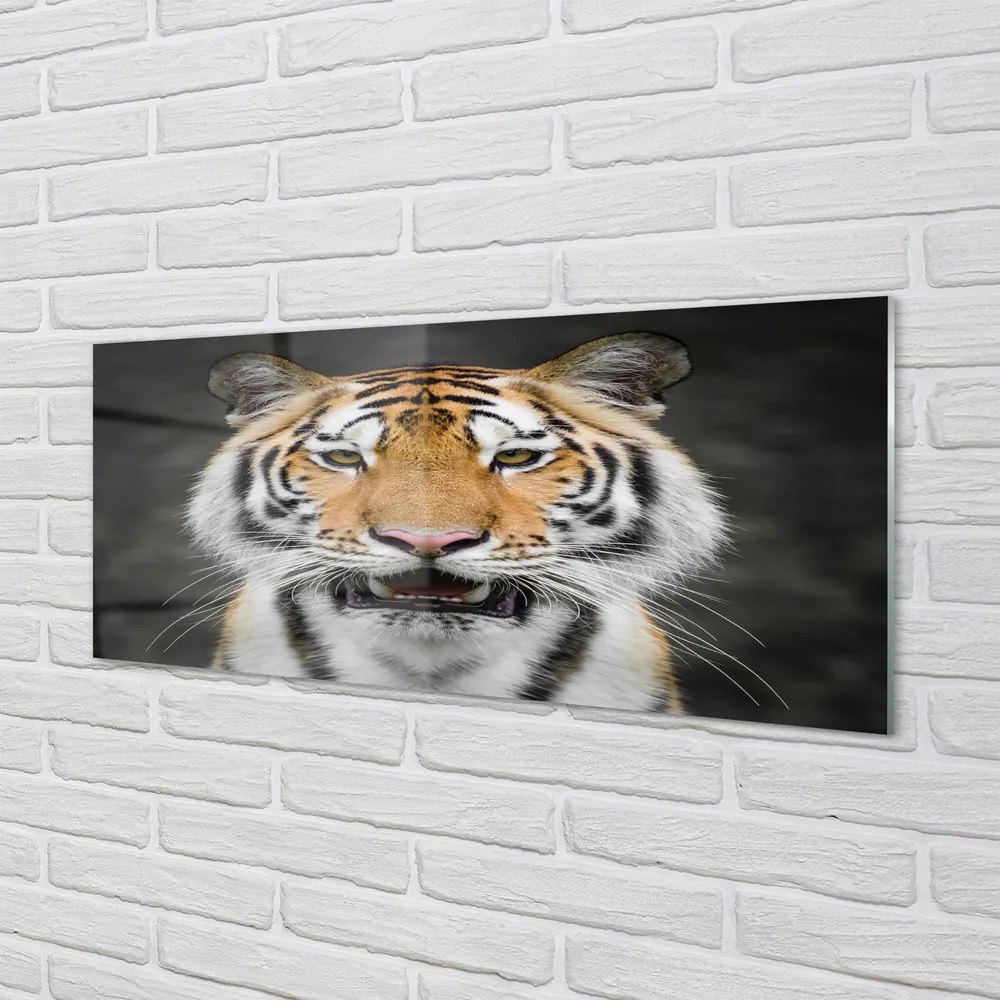 akrylový obraz Tygr 120x60 cm