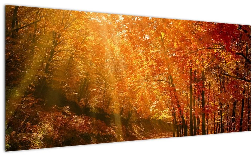 Obraz podzimního lesa (100x40 cm), 40 dalších rozměrů