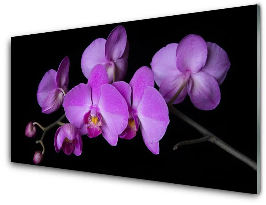 Obraz na skle Vstavač Orchidej Květiny 125x50 cm