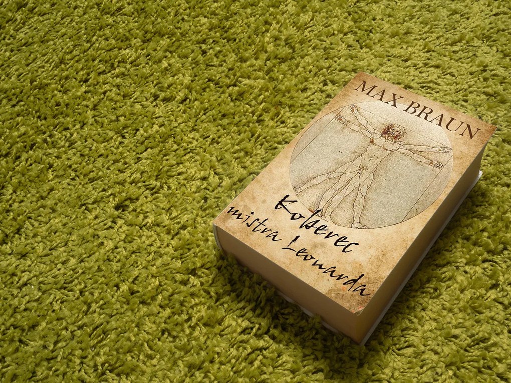 Mono Carpet, Kusový koberec Efor Shaggy 1903 Green, 80x150, zelená, ložnice