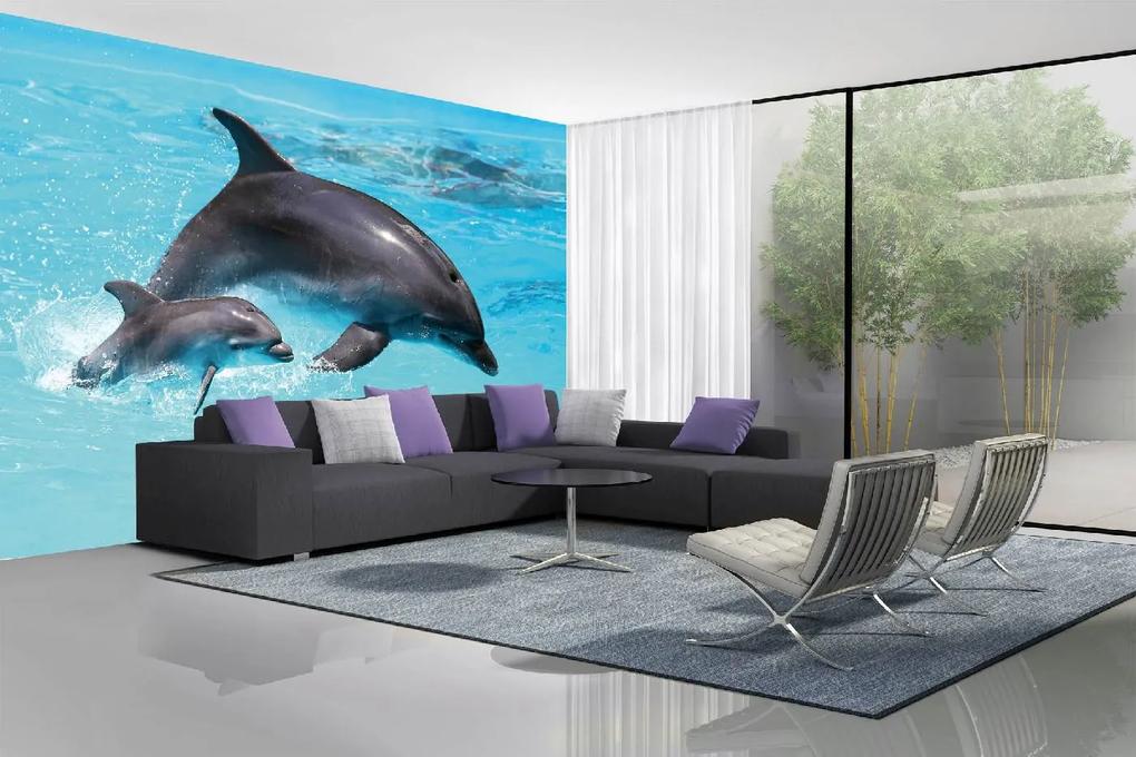 DIMEX | Samolepicí vliesová fototapeta na zeď Dva delfíni MA-5-0509 | 375 x 250 cm | modrá, šedá
