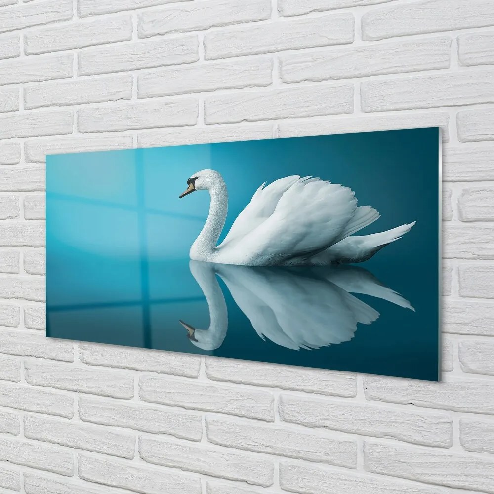 Obraz na skle Swan ve vodě 100x50 cm
