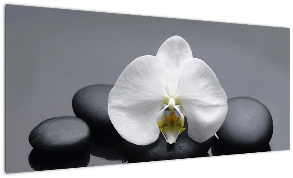 Květ orchideje - moderní obraz (100x40cm)