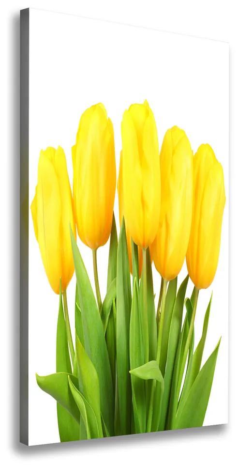 Wallmuralia Foto obraz na plátně Žluté tulipány 60x120 cm