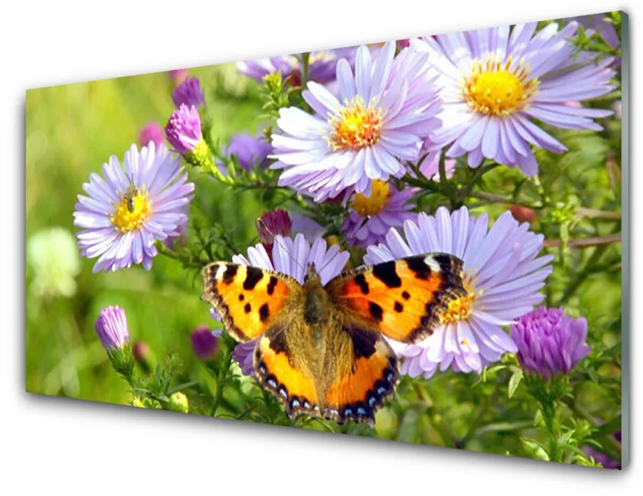 akrylový obraz Květiny Motýl Příroda 140x70 cm