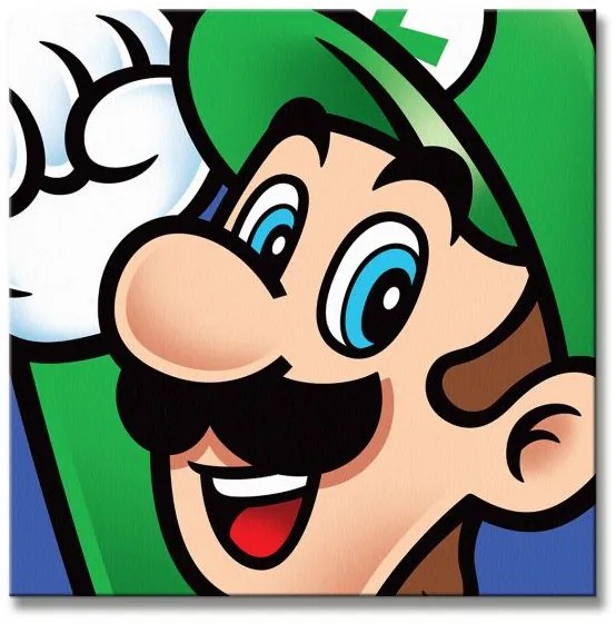 Obraz na plátně Nintendo Super Mario (Luigi) 40x40cm WDC95442