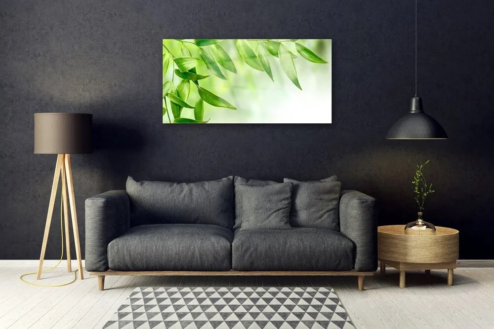 Plexisklo-obraz Zelené Listy Příroda 100x50 cm