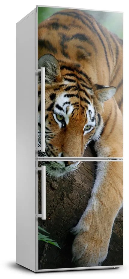Wallmuralia Foto nálepka na ledničku Tygr na stromě 60x180 cm