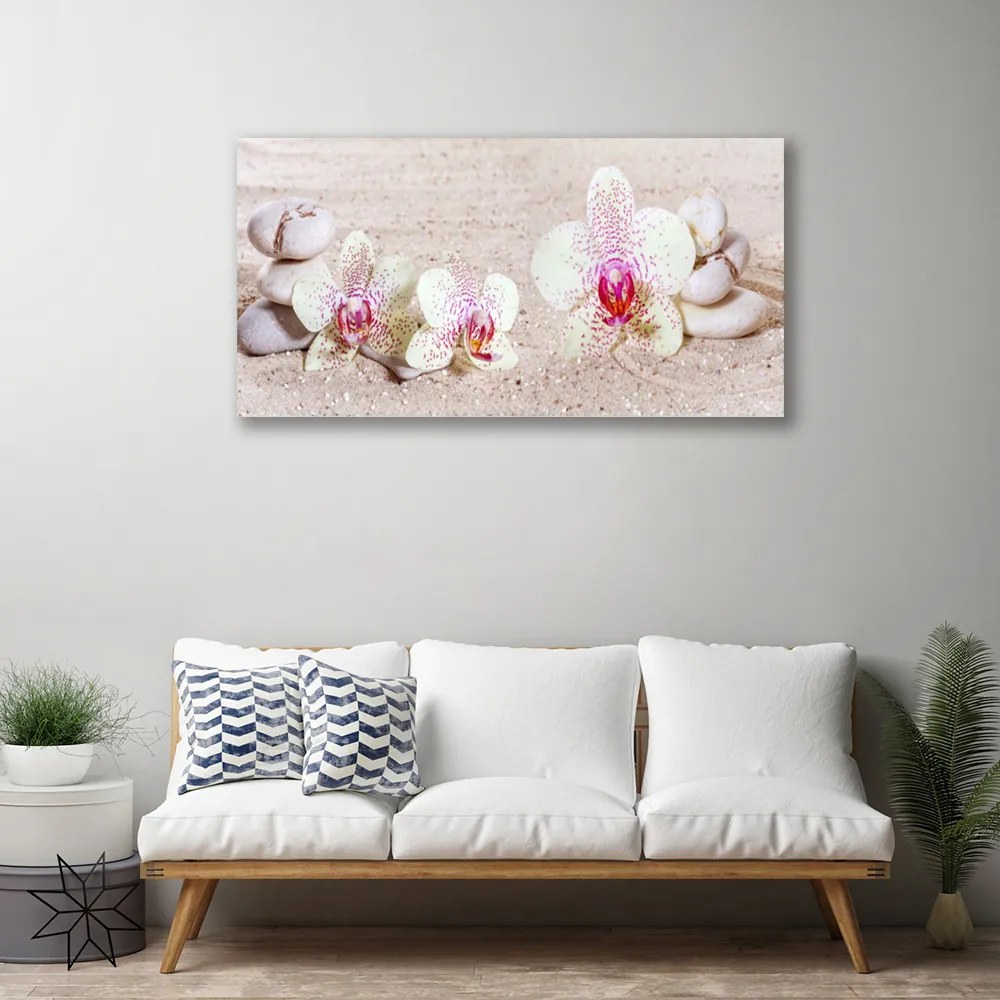 Obraz na plátně Orchidej Kameny Zen Písek 100x50 cm