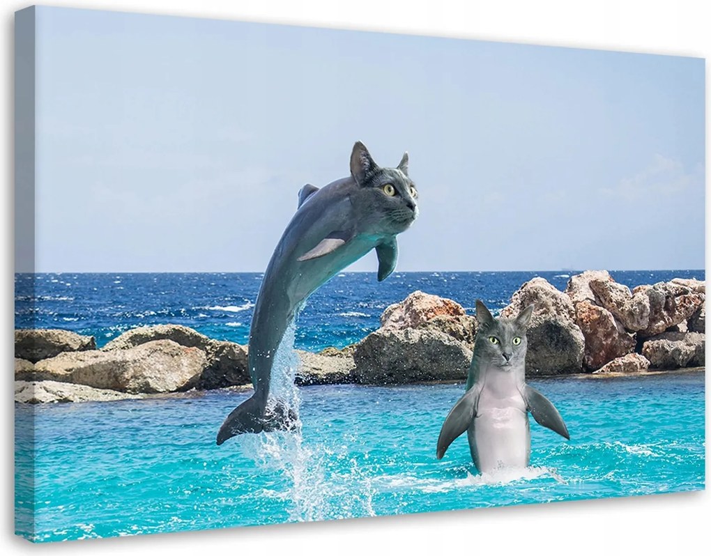 Obraz plátno Canvas Kočky Delfíni Voda Moře 100x70