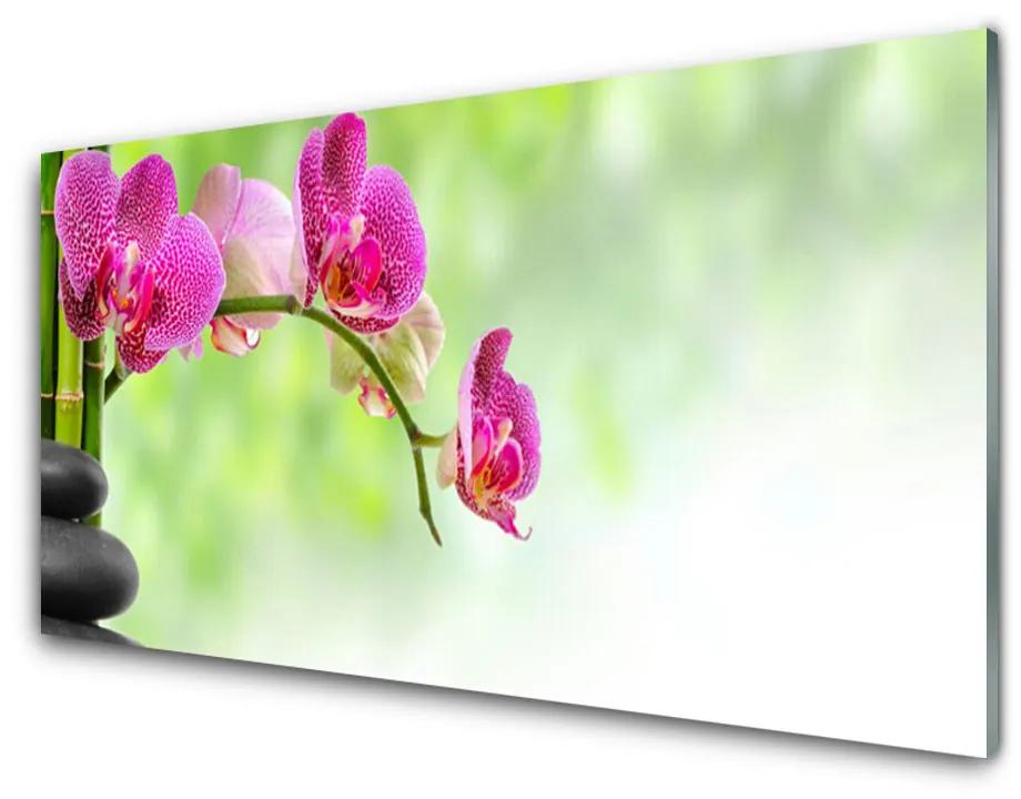 Obraz na skle Květ Kameny Rostlina 140x70 cm
