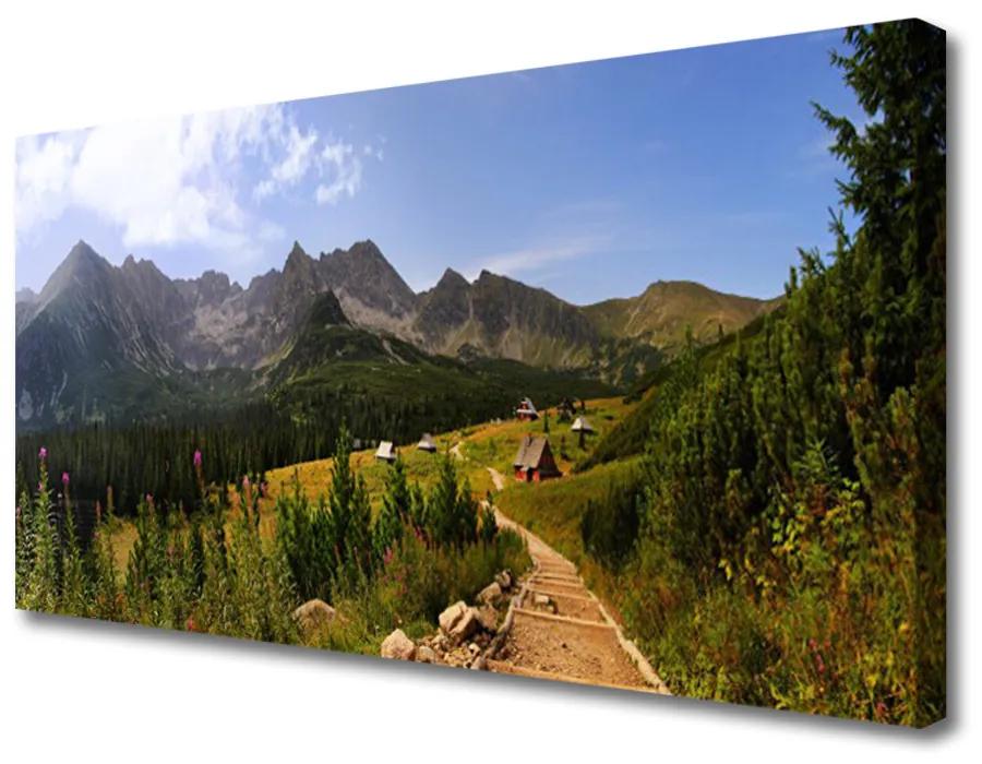 Obraz na plátně Hala Góry Droga Natura Łąka 125x50 cm