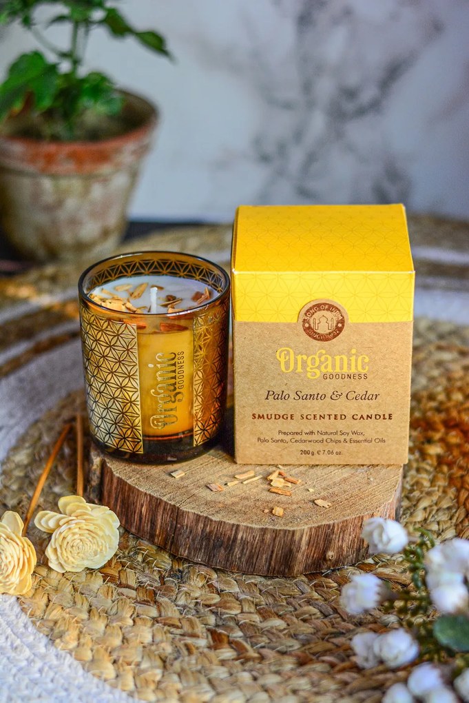 Song of India Vonná svíčka Organic Goodness 200 g Palo Santo a cedr