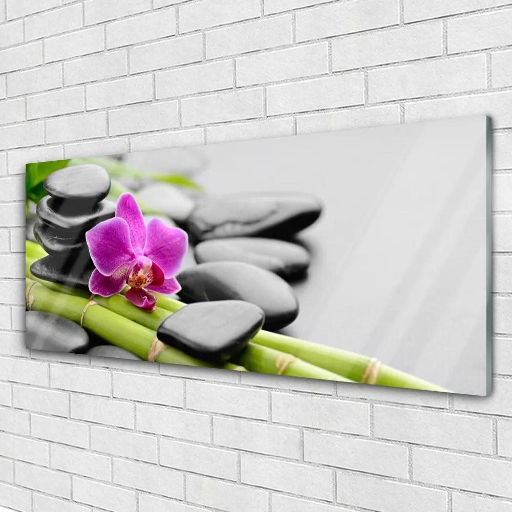 akrylový obraz Bambus Květ Kameny Umění 125x50 cm