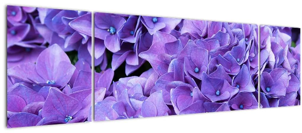 Obraz fialových květin (170x50 cm)