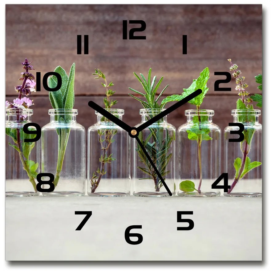 Wallmuralia Skleněné hodiny čtverec Rostliny ve sklenicích 30x30 cm