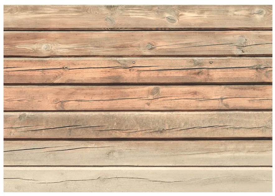 Samolepící fototapeta - Dřevo - Stará borovice 98x70