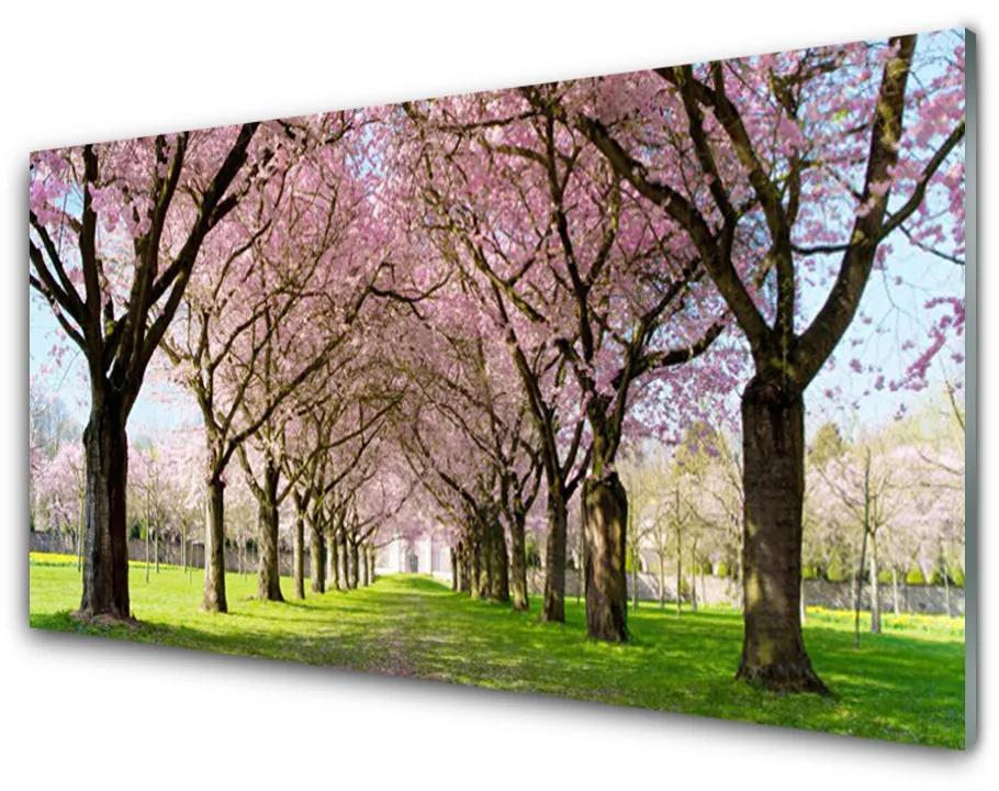 akrylový obraz Stezka Stromy Příroda 140x70 cm