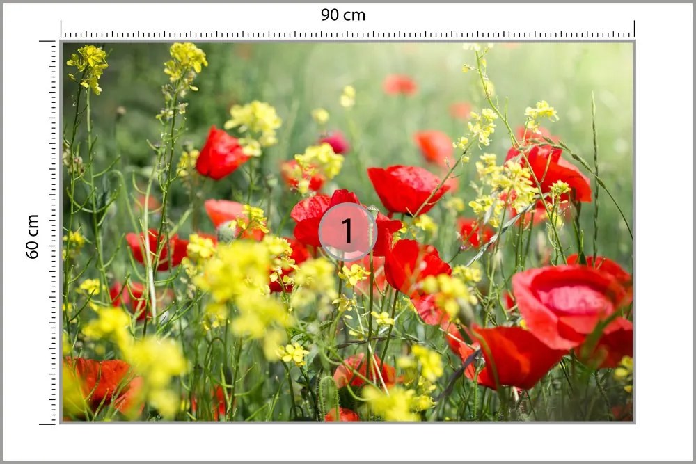 Fototapeta Poppies Meadow Vliesová tapeta 135x90