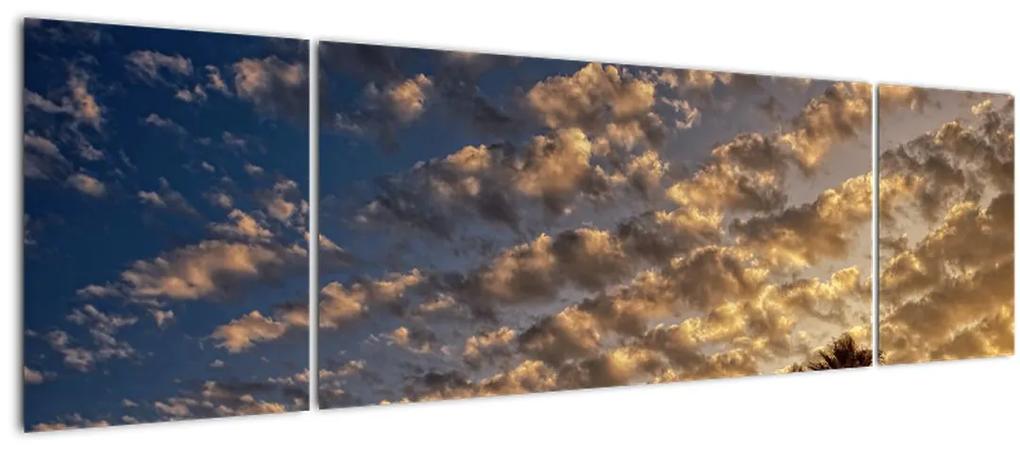 Obraz - Palmy mezi mraky (170x50 cm)