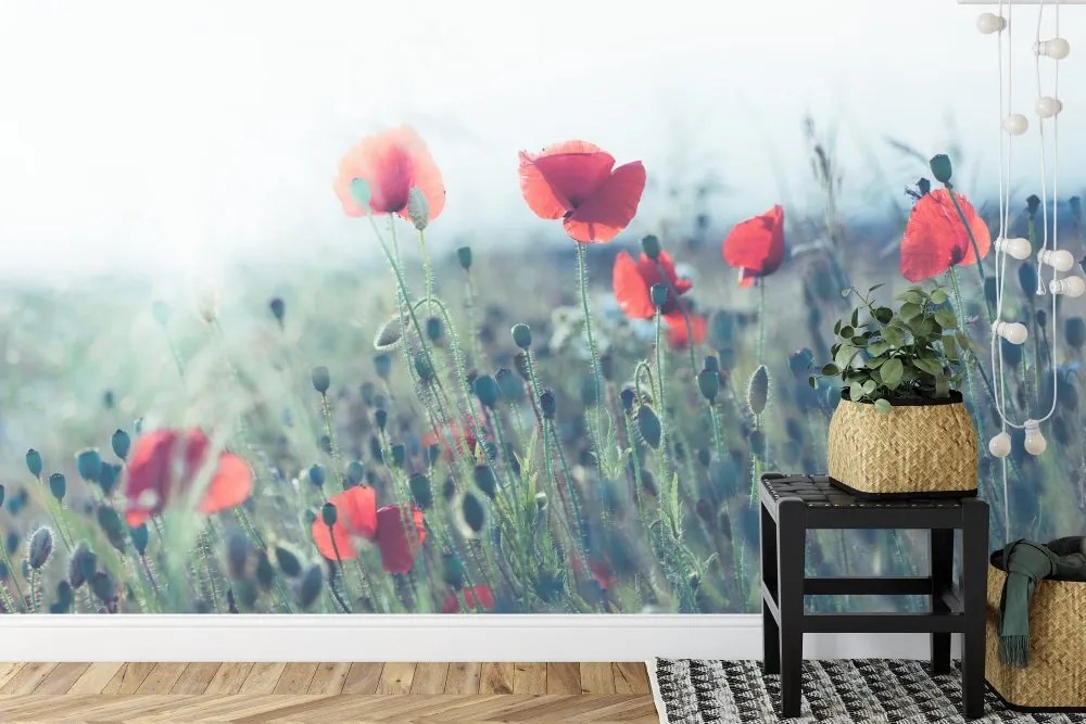 Fototapeta Poppy Field Strukturální vinyl 254x184