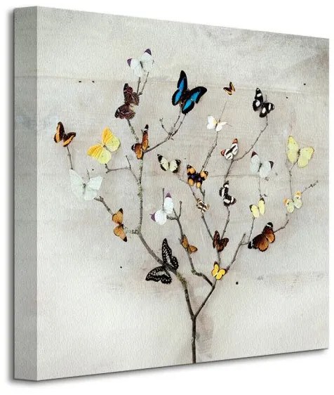Art Group Obraz na plátně Strom motýlů Winstanley Ian 40x40cm