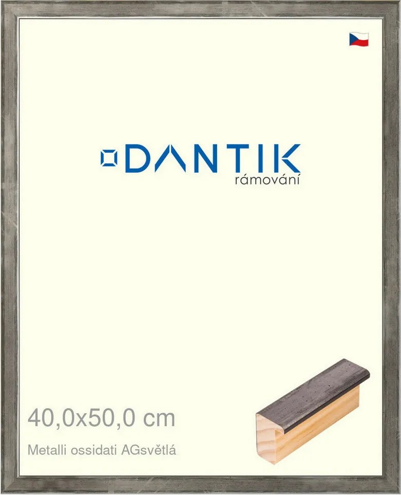 DANTIK rámeček 40x50 | Metalli oidati AGsvětlá (Plexi Čiré)