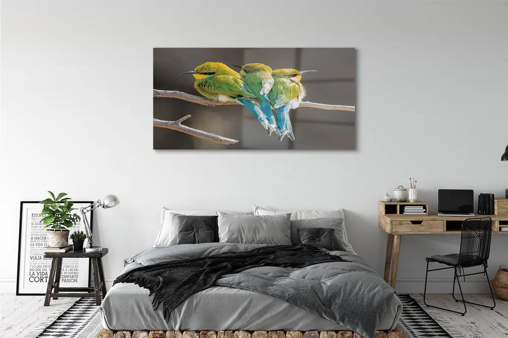 akrylový obraz Ptáci na větvi 140x70 cm
