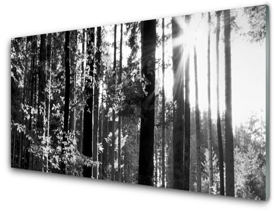 Obraz na skle Les Příroda 120x60 cm