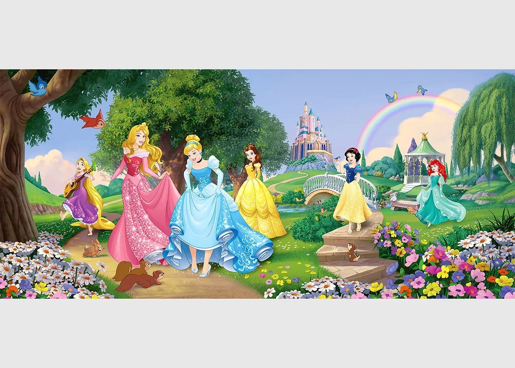 Dětská vliesová fototapeta na zed' Princezny v zahradě, Disney | 202 x 90 cm | DFTDNH 5378