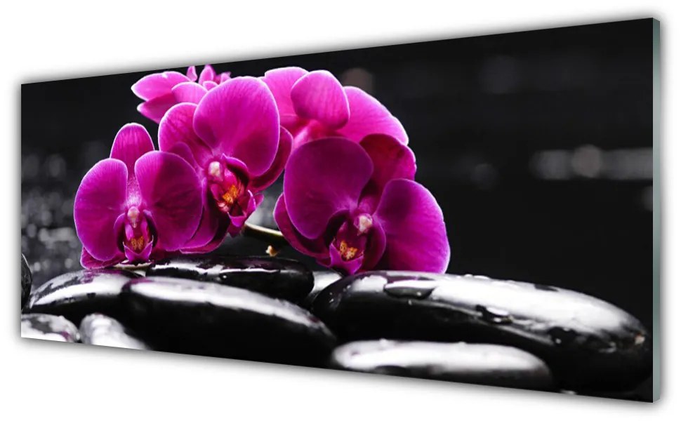 Plexisklo-obraz Kameny Zen Orchidej Lázně 125x50 cm