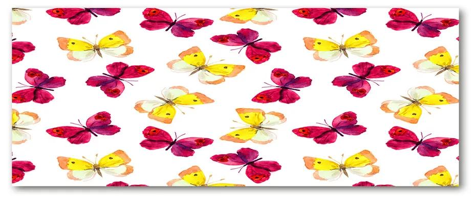 Wallmuralia Foto obraz akrylové sklo Motýli a květiny 125x50 cm