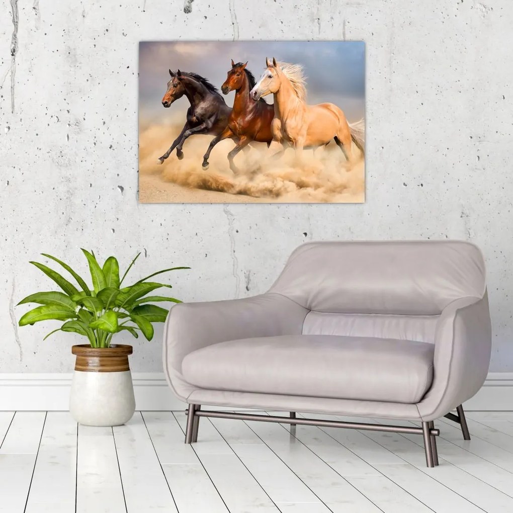 Skleněný obraz - Divocí koně (70x50 cm)